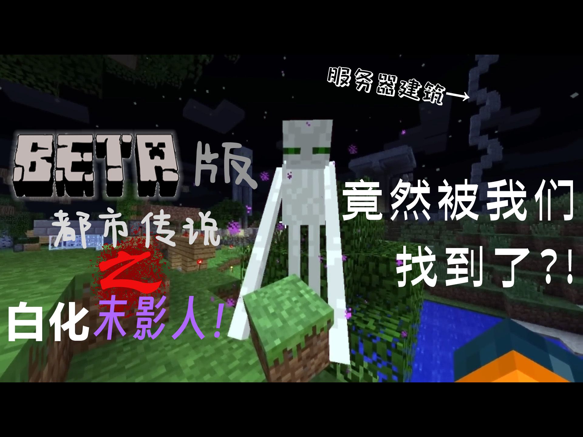 [MC中字] 你敢信吗?这种末影人真实存在于原版!