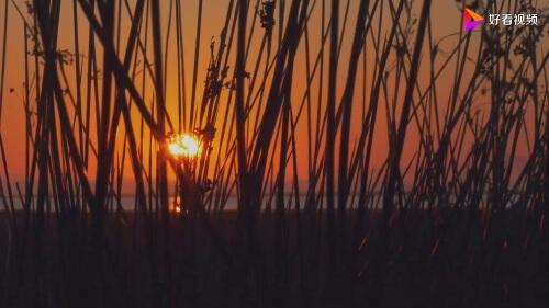 四季变换决定了这里的居民数