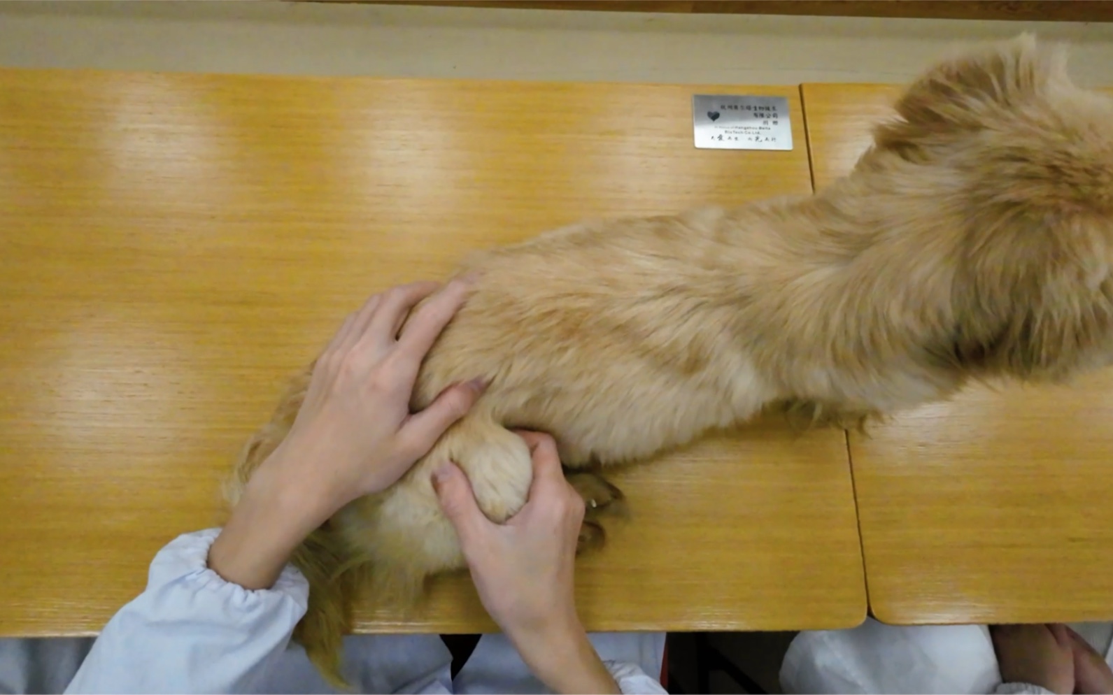 走进中兽医学