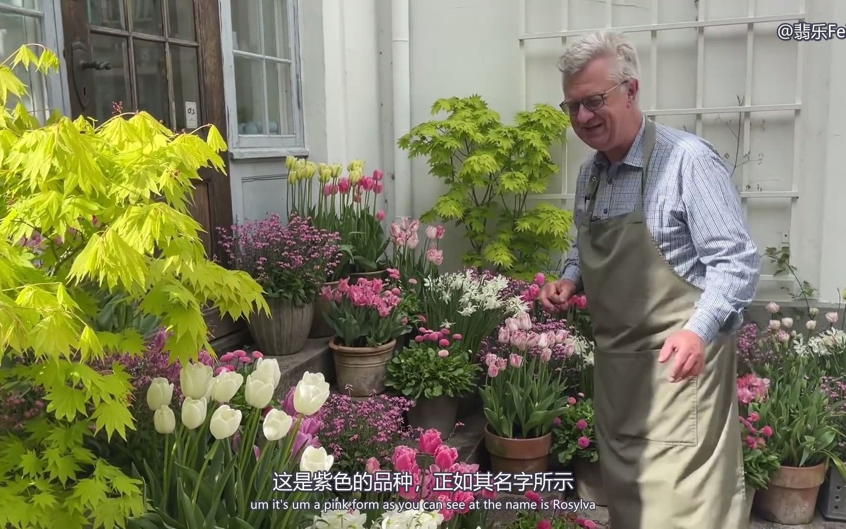 [中字] 丹麦爷爷Claus Dalby教你如何种植春日种球 | How to grow ...