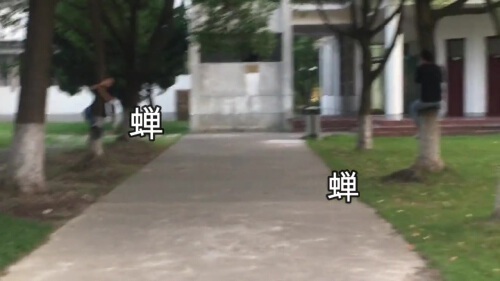 盘点的爆笑瞬间,电梯开门的一瞬间属实优雅