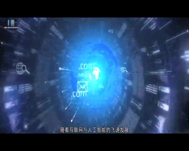 IBM Capital Corporation
