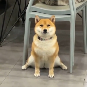 吴哈妍 