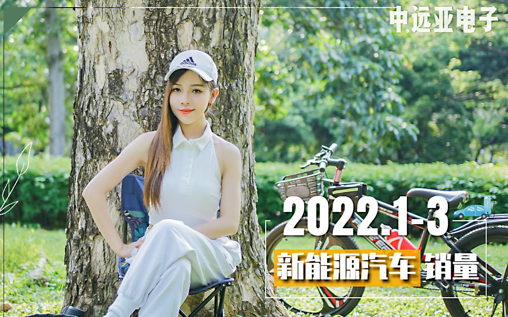 2022年第一季度新能源汽车销量排行