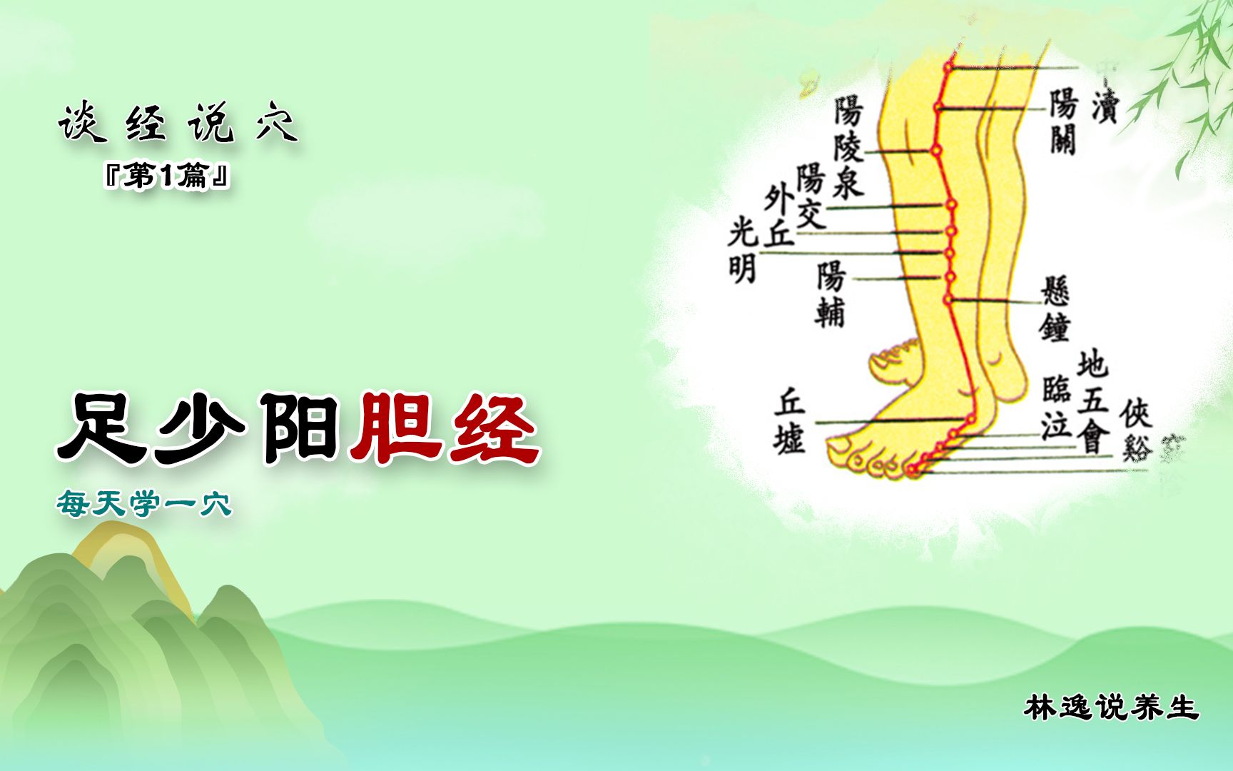 每日一穴：足少阳胆经-胆经循行
