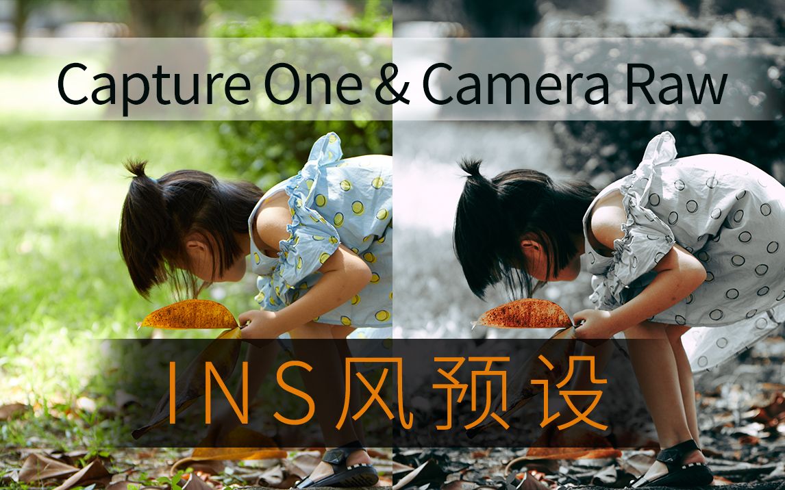 【INS风预设】-Capture One & Camera Raw预设
