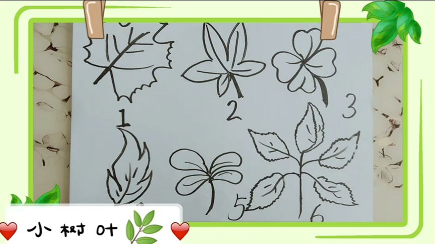 幼儿简笔画教程,各种各样的树叶,大自然真奇妙!