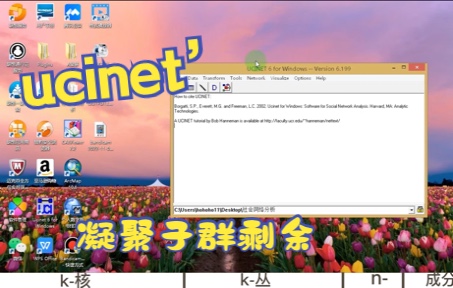 ucinet—凝聚子群分析(k-核、k-丛、n-宗派、n-派系、成分)