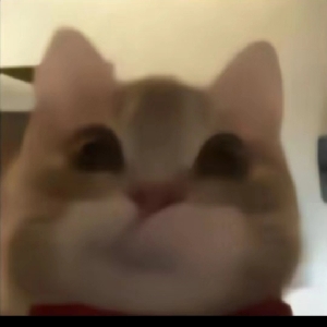 花6个硬币的昵称 