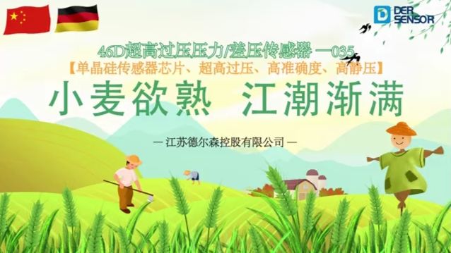 46D超高过压压力/差压传感器