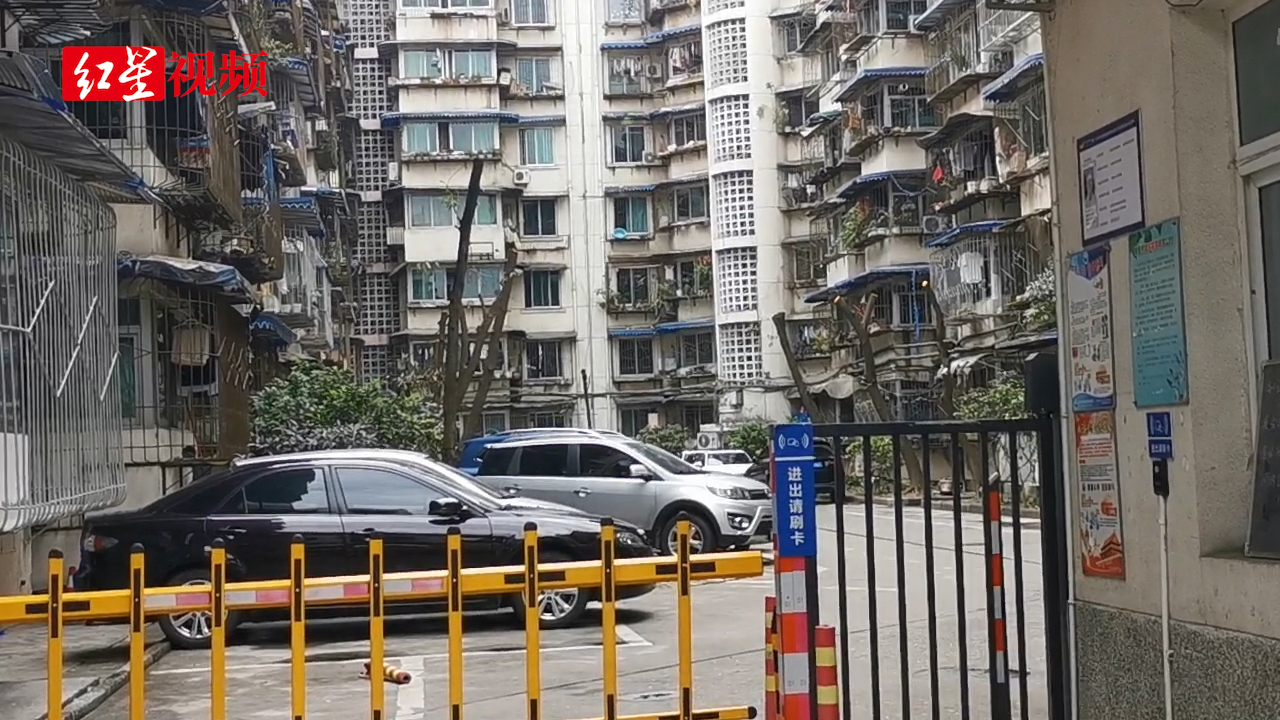 成都一小区大树修枝被“砍头” 相关部门:涉过度修枝和违规砍伐