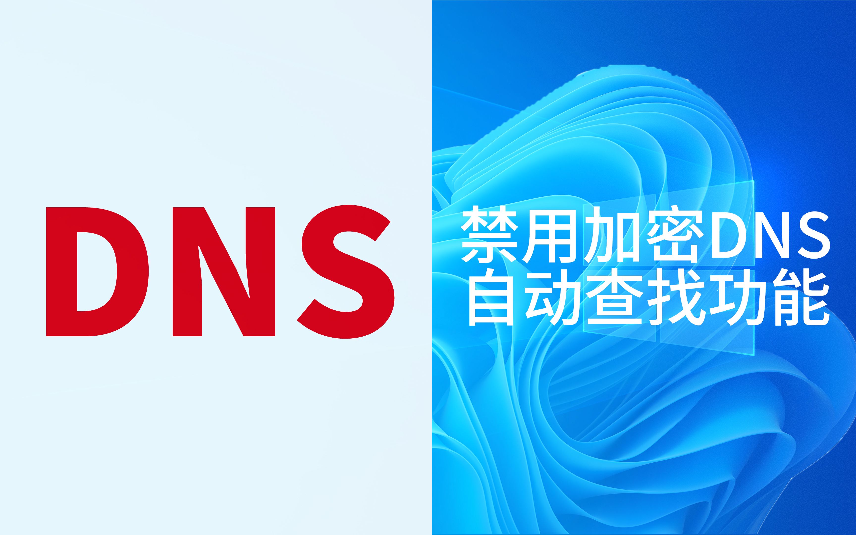 【win11+】禁用自动查找DNS功能,提升网络稳定性