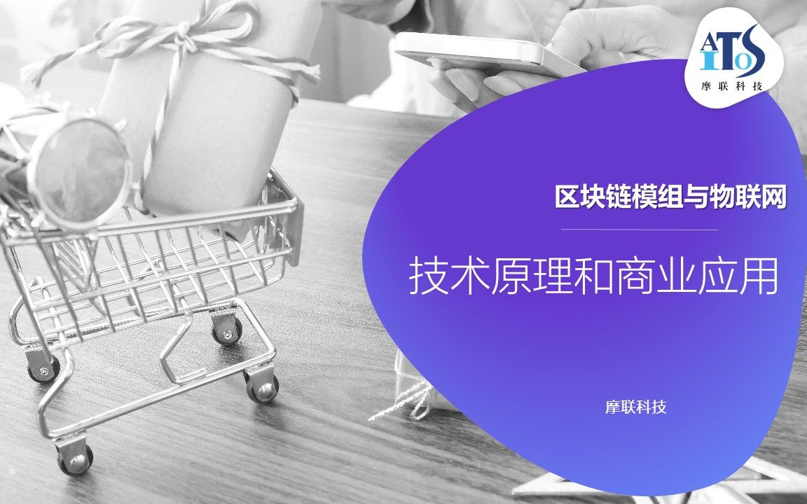 摩联科技CTO 许刚:区块链物联网模组技术和应用