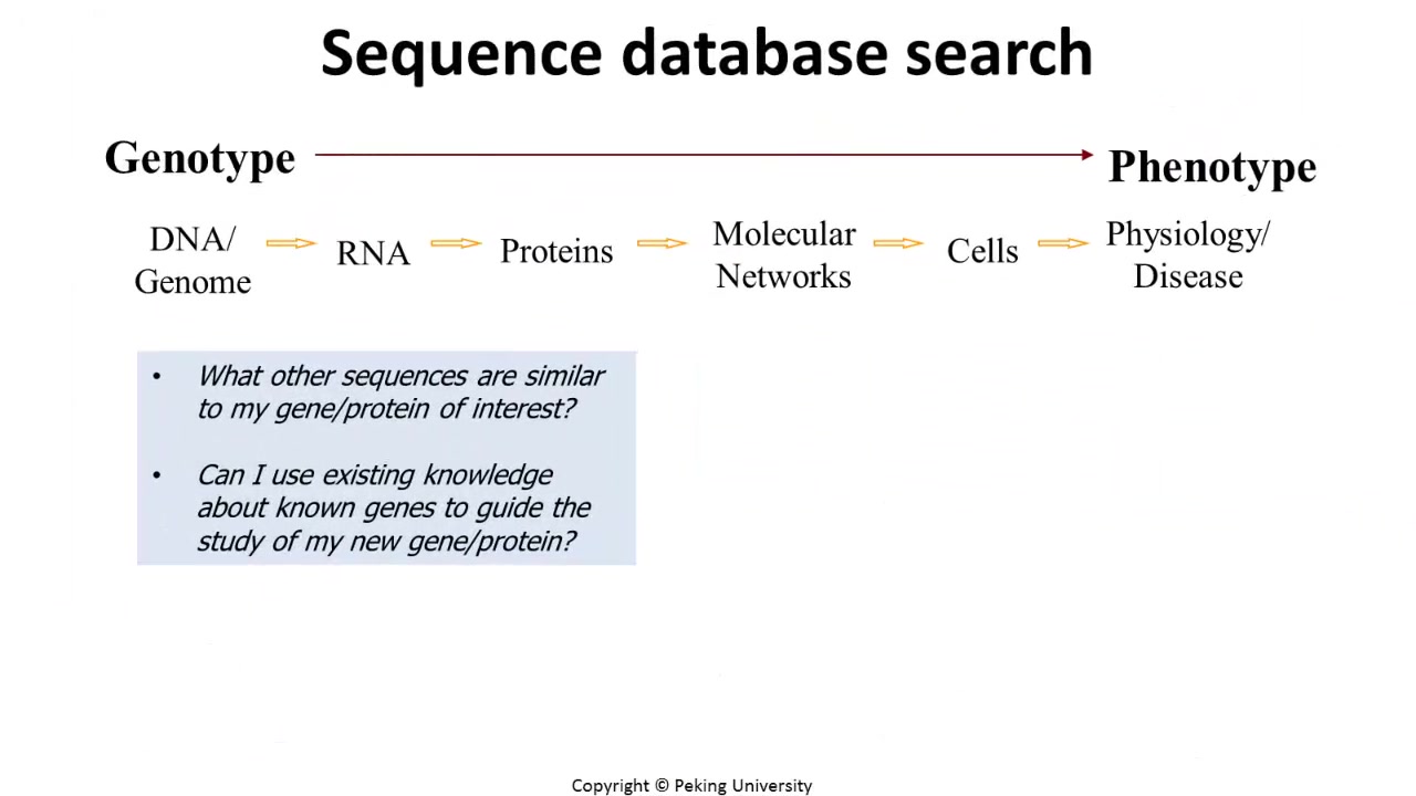 生物信息学:导论与方法(北京大学)