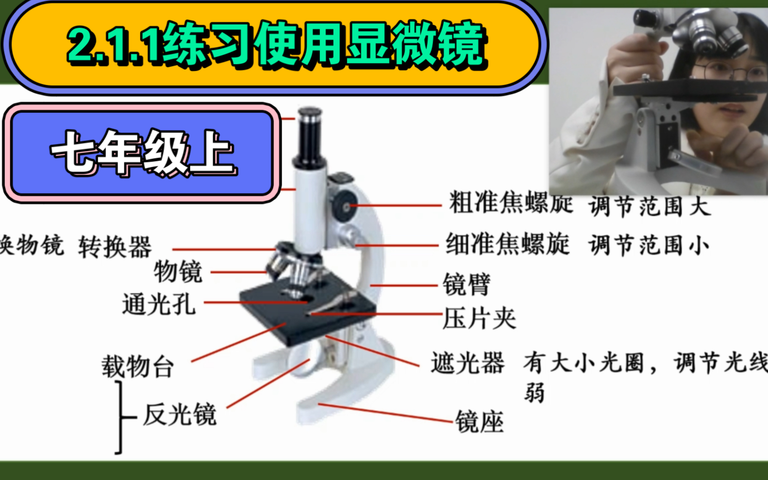 七年级上生物2.1.1练习使用显微镜