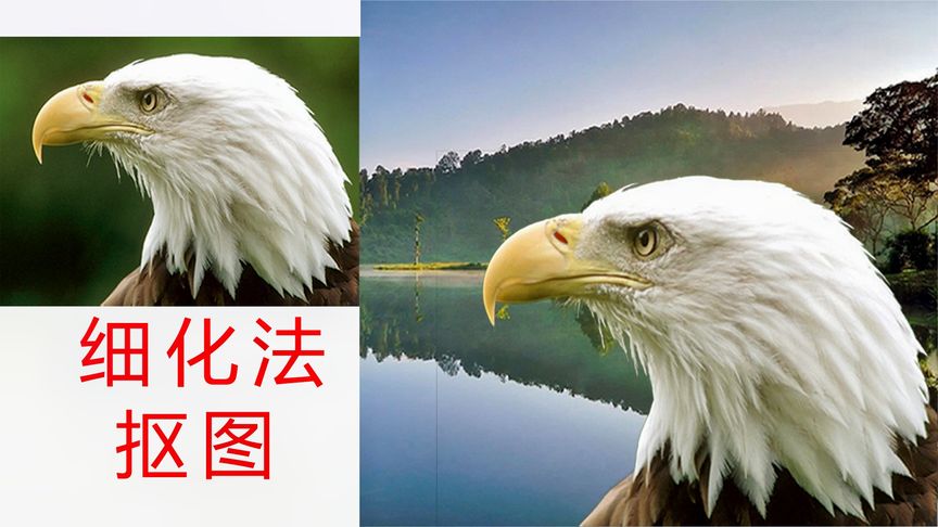 精通选择与抠图方法 PS快速选择工具与调整边缘命令