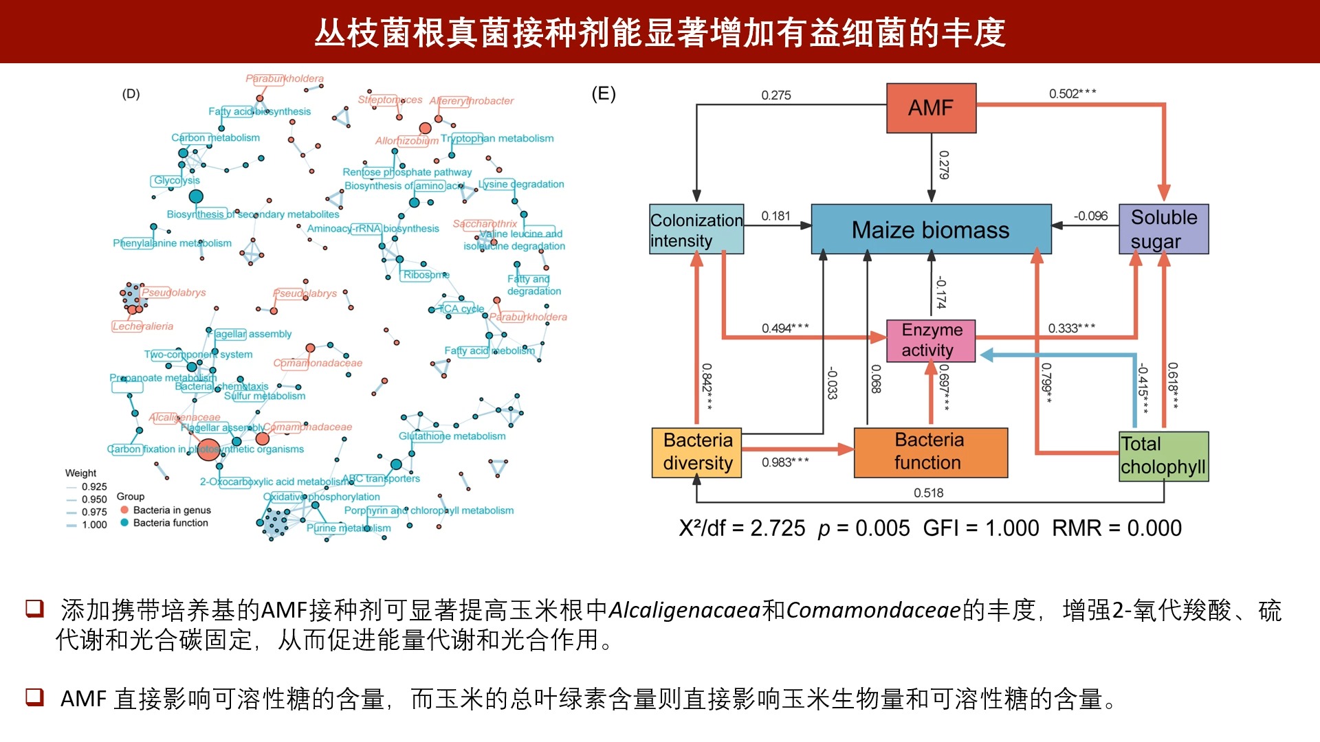 iMetaOmics | 安徽农大李晓玉组-丛枝菌根真菌对玉米内生菌群的影响