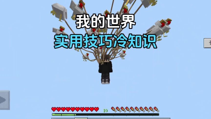 【我的世界】实用技巧冷知识 -你都知道哪些?#我的世界