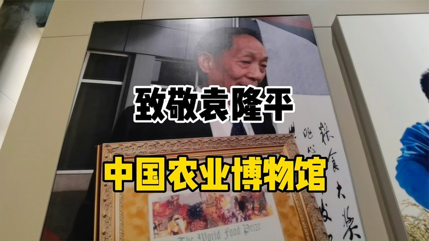 致敬袁隆平!走进中国农业博物馆,了解中国水稻生产三次飞跃
