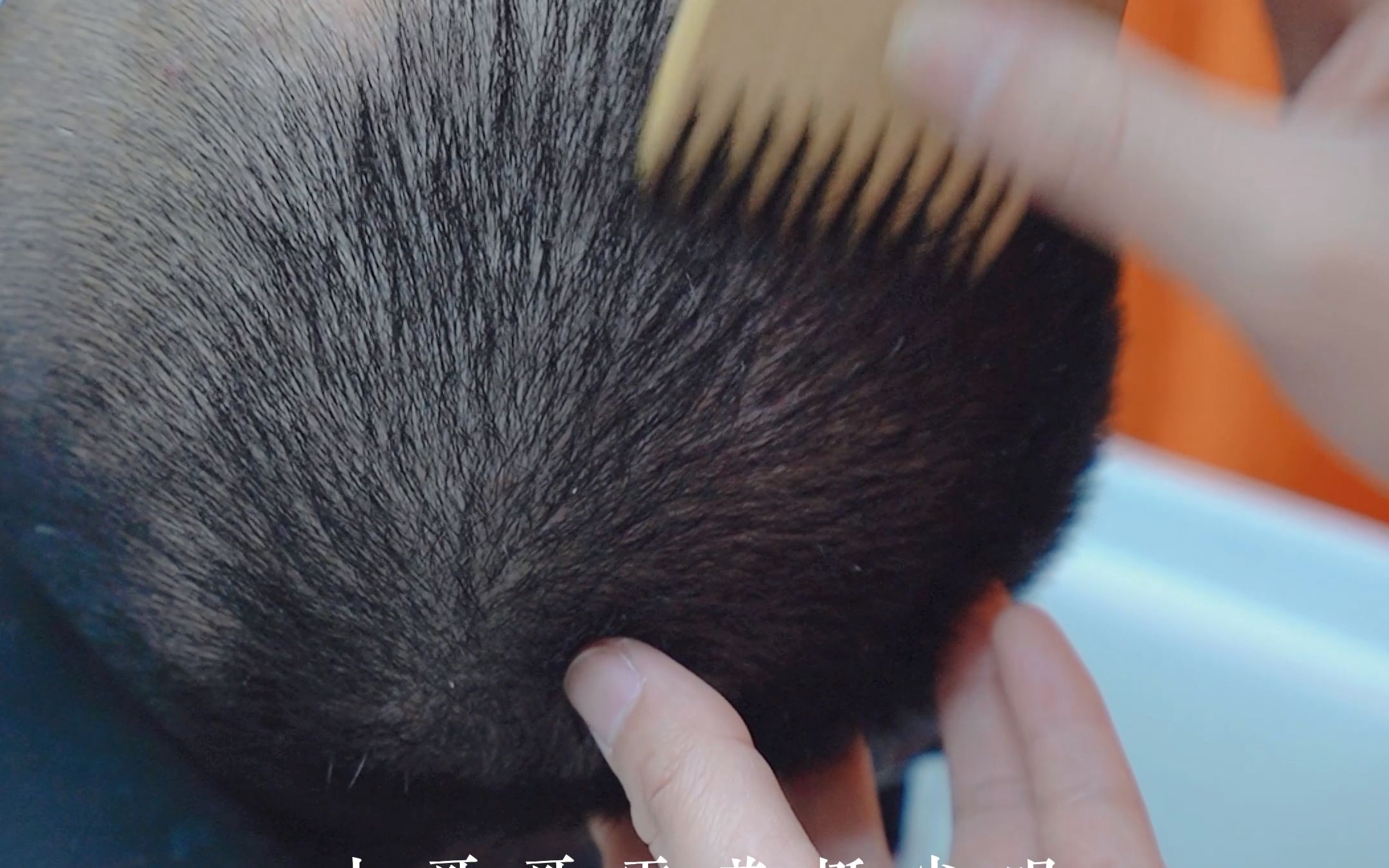 大年初六,送穷 迎福 行好运,愿您六六大顺!和小尚一起从“头“开始”,...