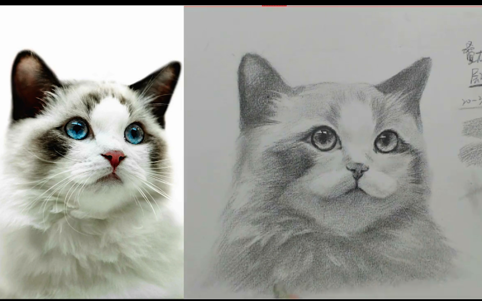 【素描教程简单学】素描猫咪怎么画?来看看怎么画好你的素描猫咪吧