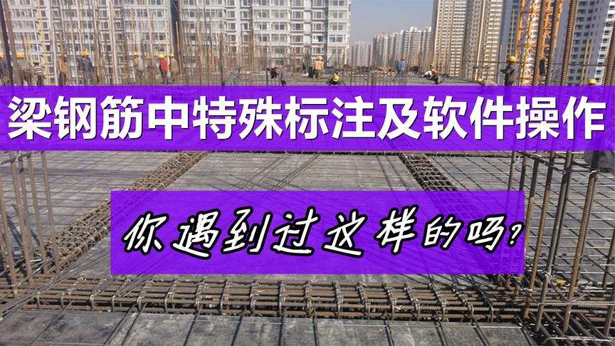 梁钢筋特殊标注及软件如何操作