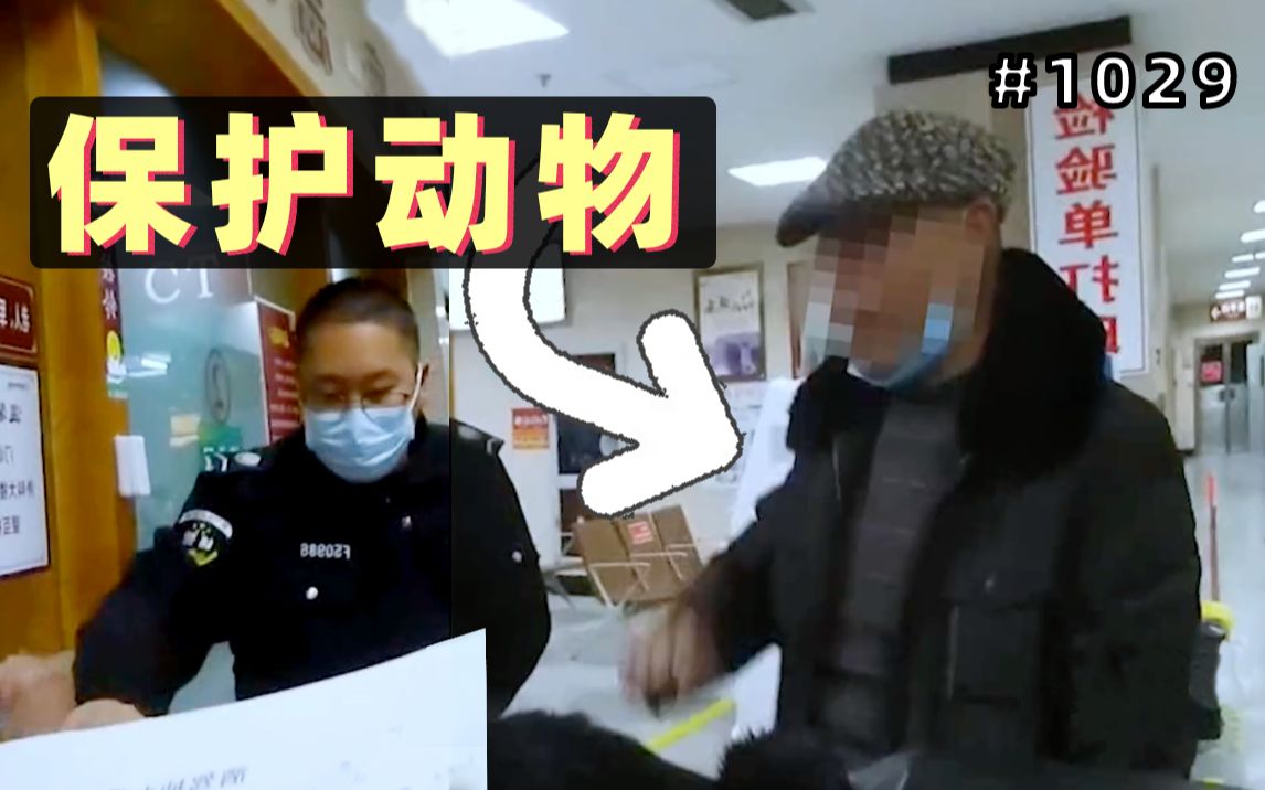 大爷酒后驾车上路被捕!大爷:住手!我是国家保护动物!【1029期】