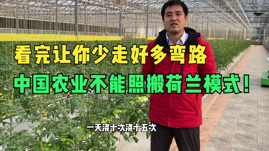 经验教训!照搬荷兰模式"血本无归",中国式无土栽培应该这样做