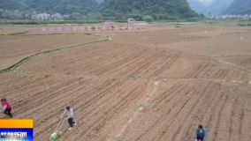 「我市举行全民国家安全宣传教育活动启动仪式」李楚致辞并宣布活动...