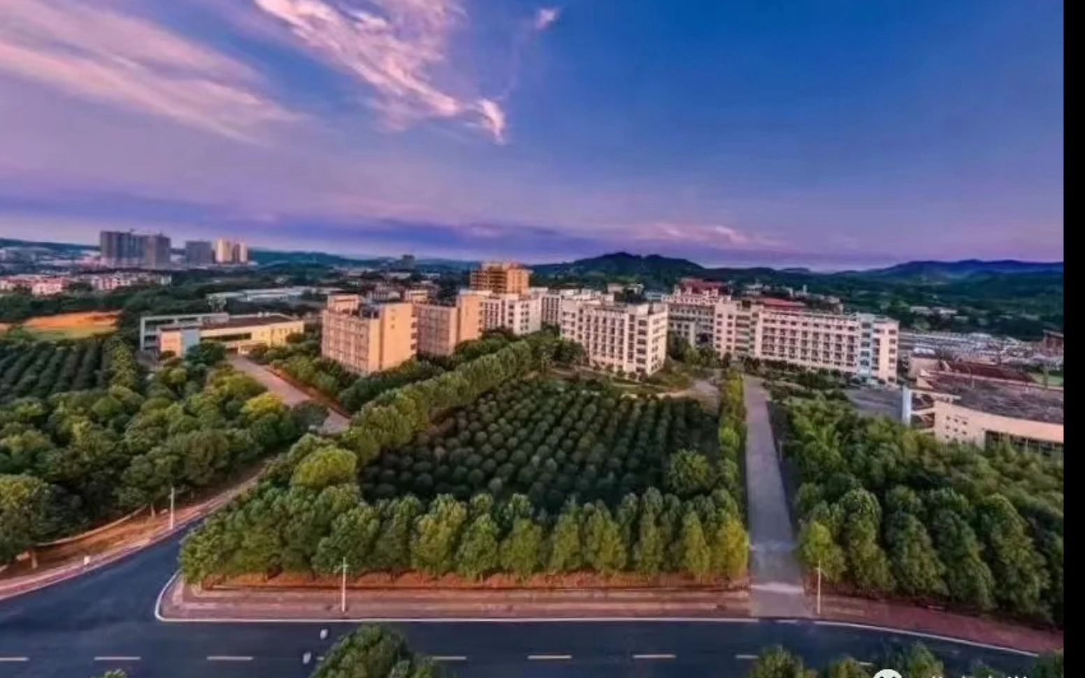 龙南中学初中部艺术类校本课程建设