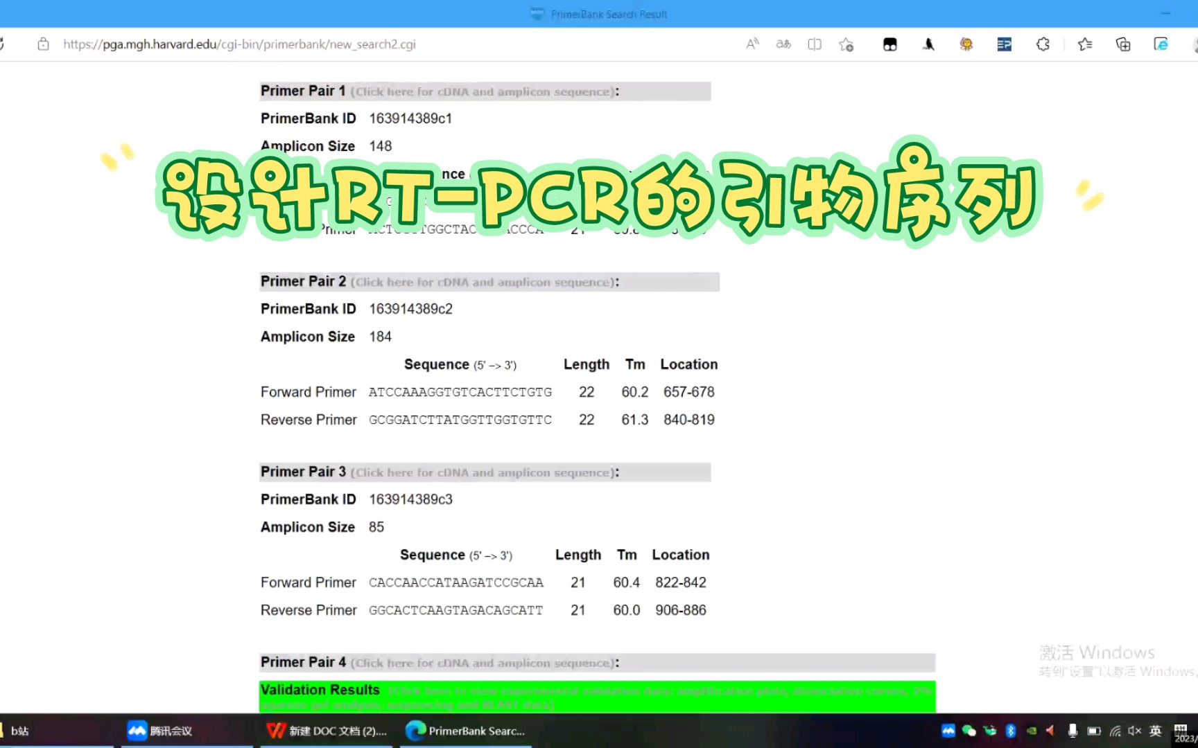 设计RT-PCR的引物序列