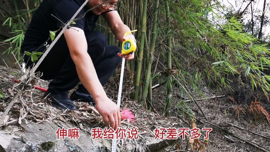 为节约成本,到山上选择美丽乡村建设项目所需景观石,很有收获哟