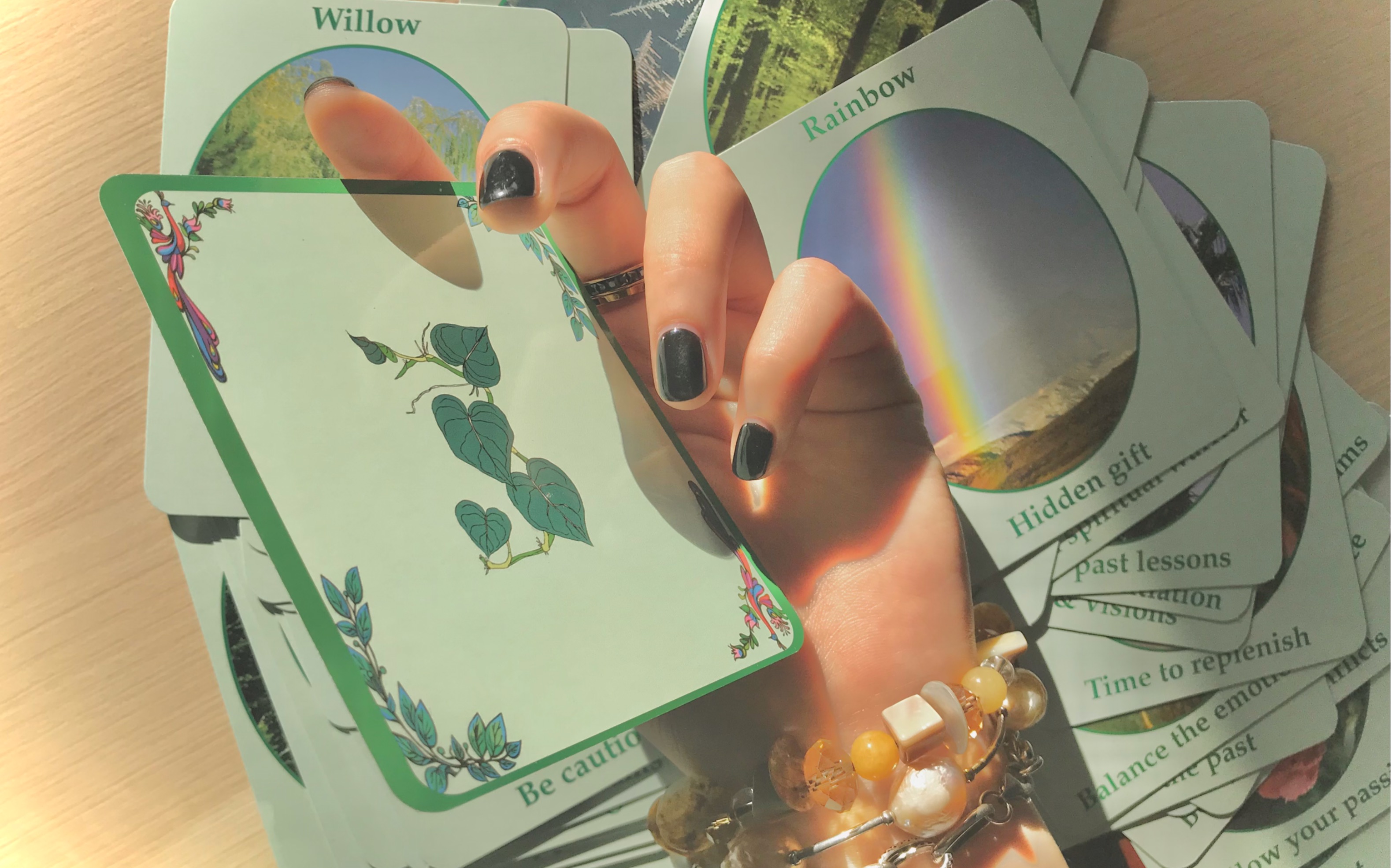 神谕卡Nature speak Oracle cards开箱分享(纯音乐版很解压哦