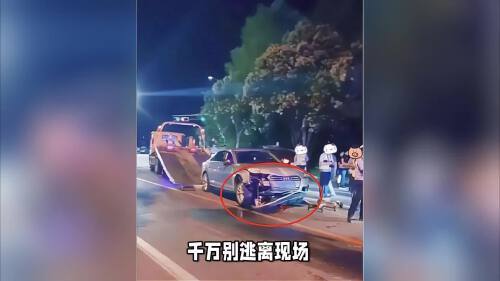 开车撞到人正确的处理流程