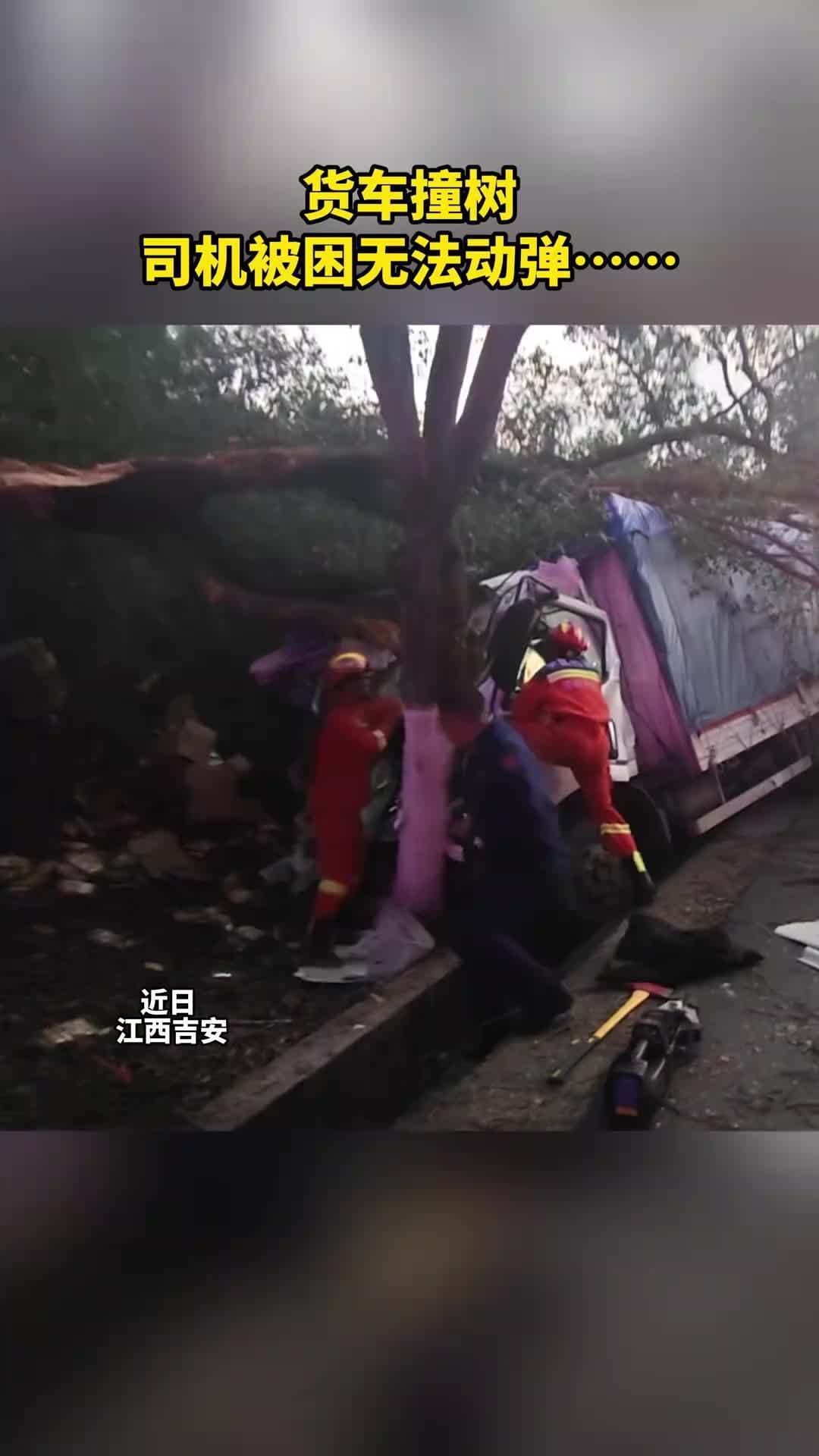 货车撞树,司机被困无法动弹……