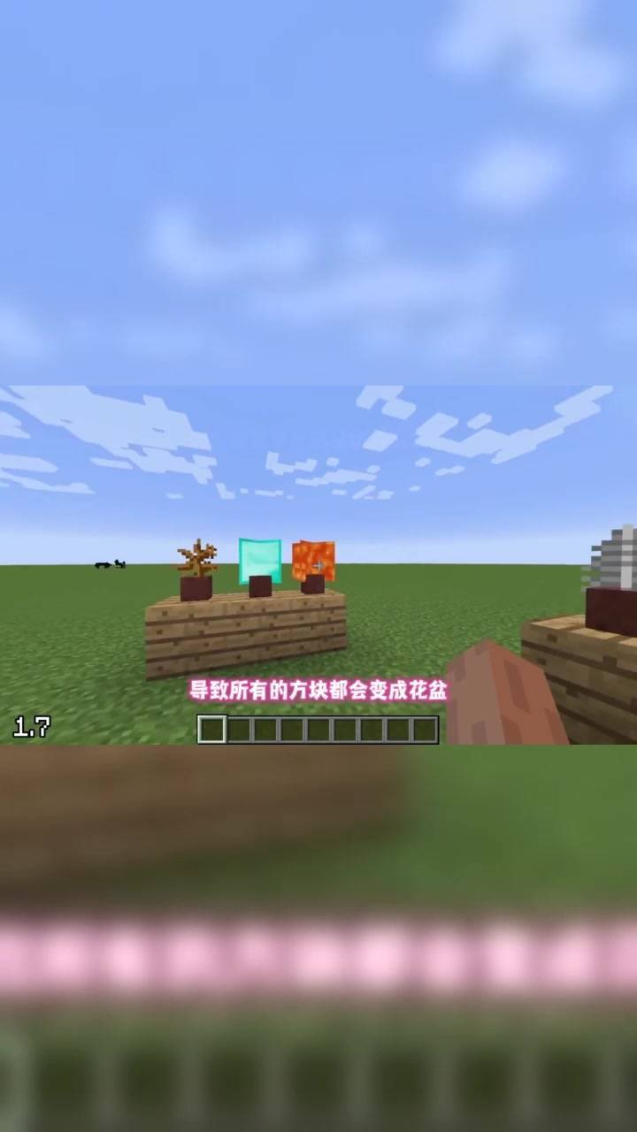 我的世界:你有到过边境之地吗