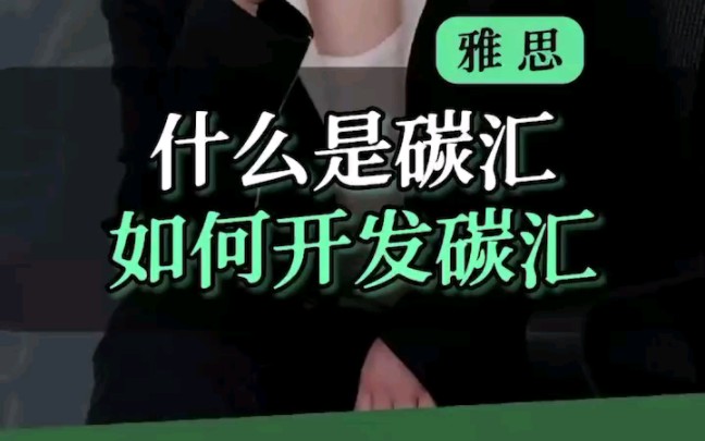 碳汇