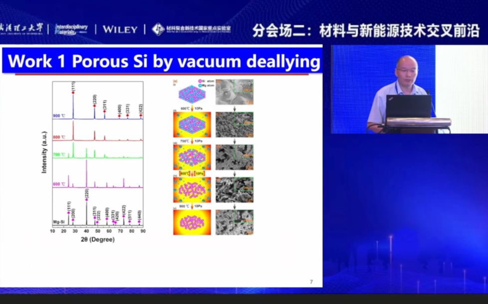 山东大学 冯金奎-多孔硅基材料的宏量可控制备与储锂行为研究