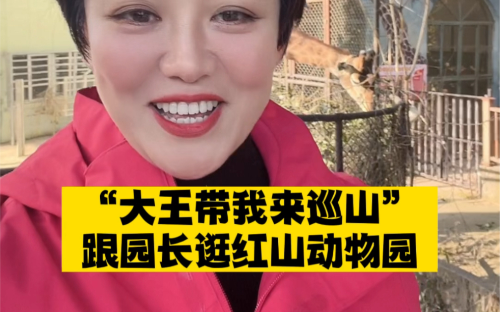 南京红山动物园 是全中国唯一一家自收自支的事业单位性质动物园。...