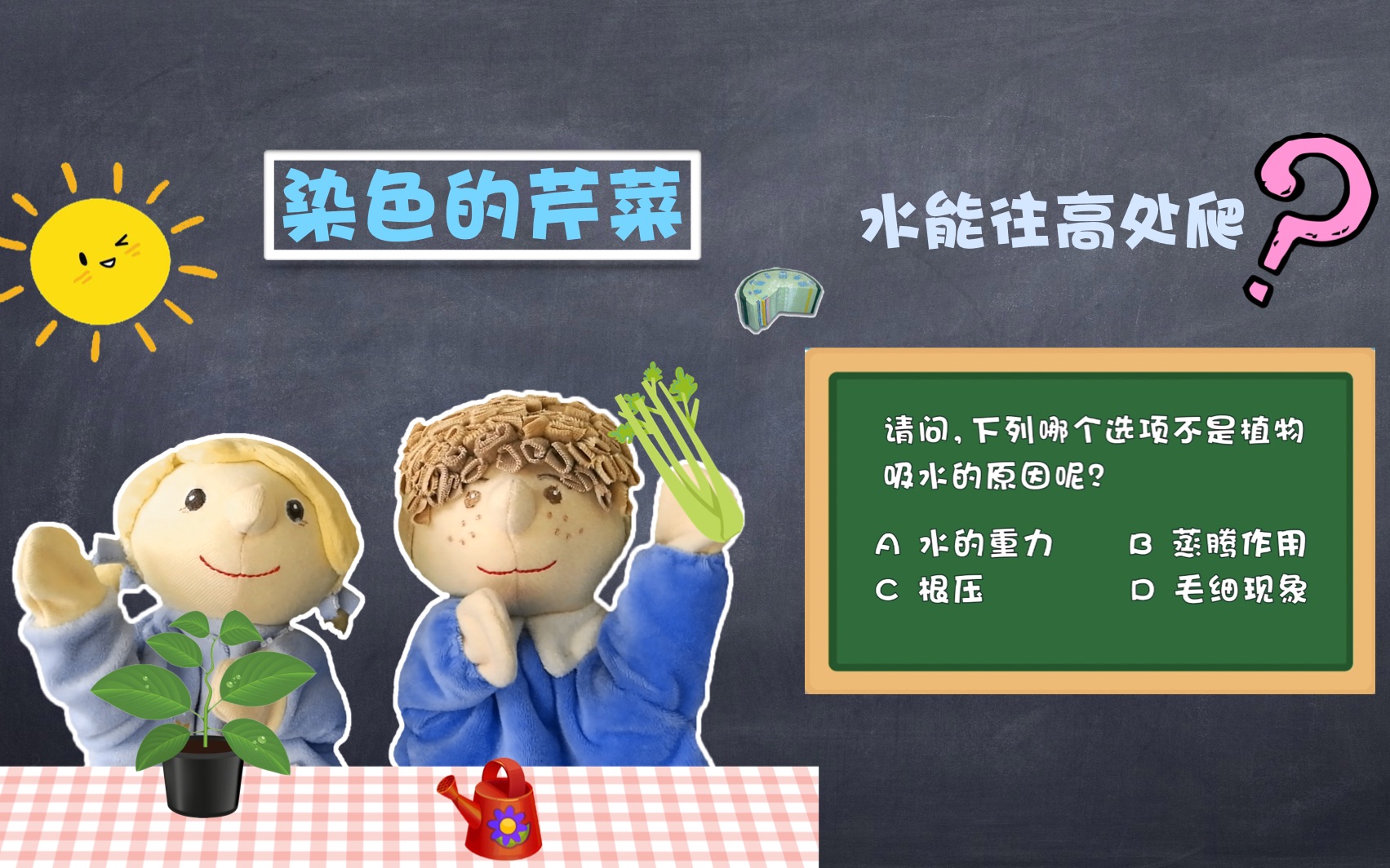 科学小实验|染色的芹菜,走进植物吸水,揭秘蒸腾作用和毛细现象