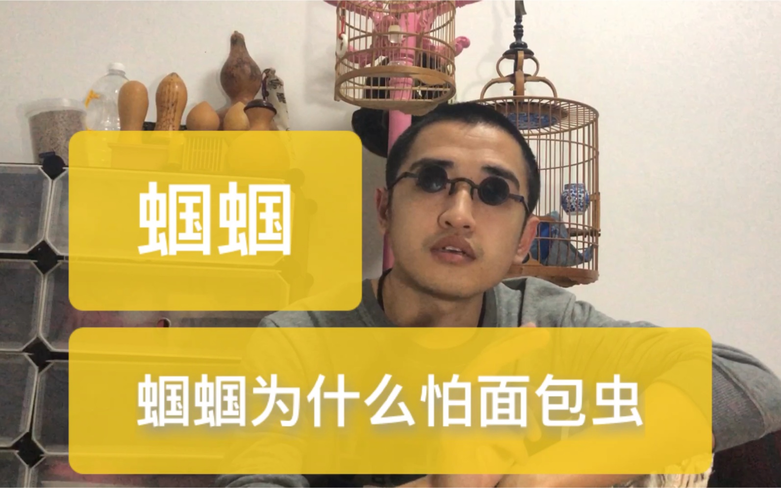 每个人都有自己性格,宠物也有不同性格,有的蝈蝈连面包虫都害怕