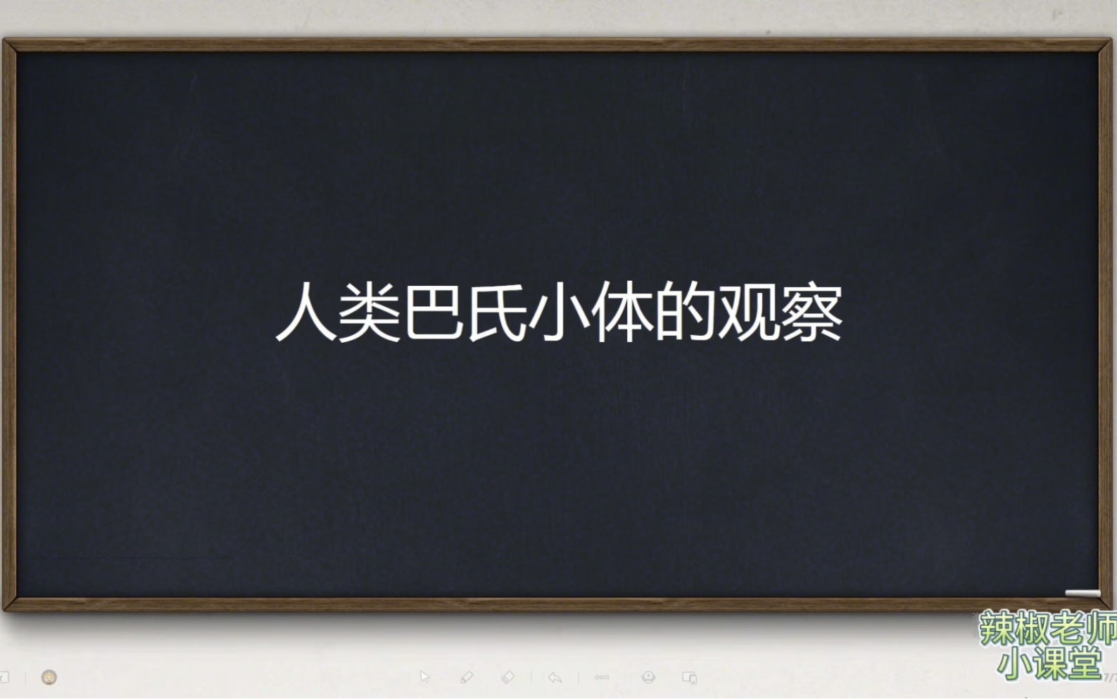 高中生物 人类巴氏小体观察