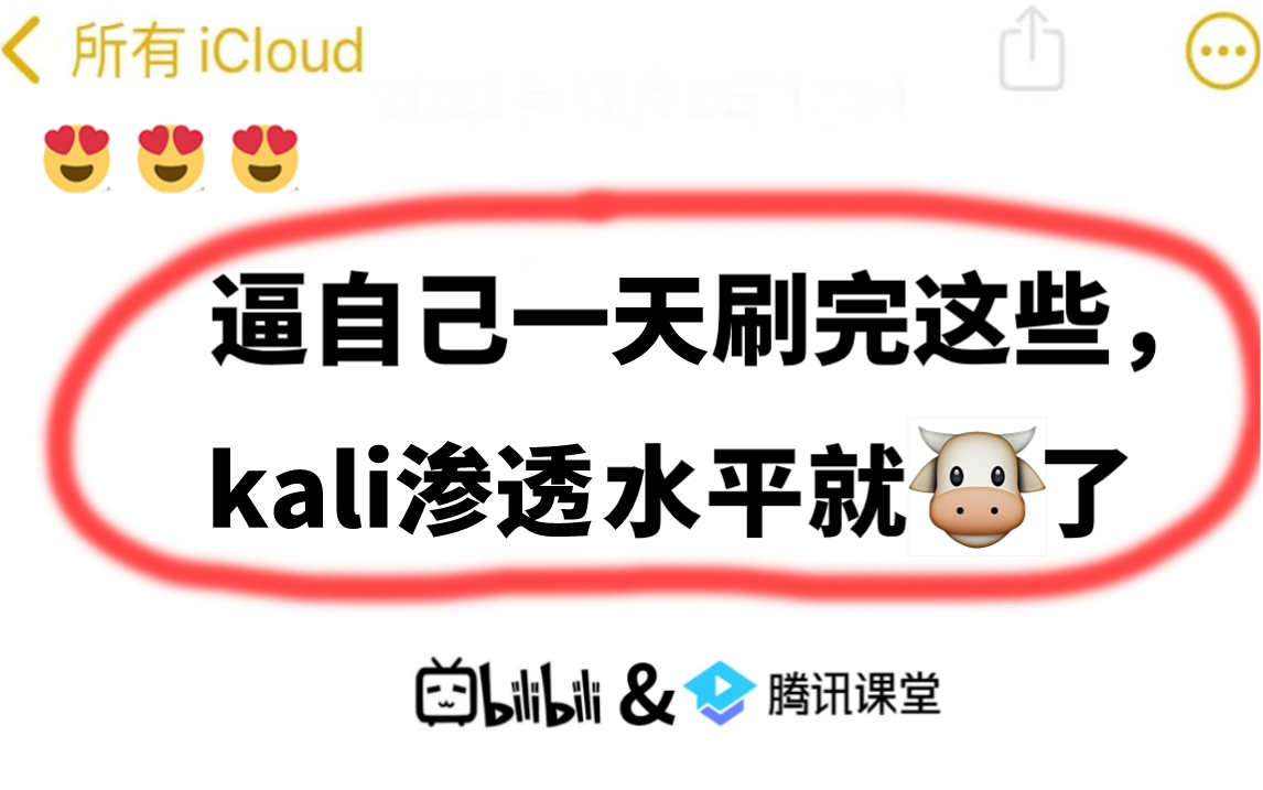 【2024最新kali入门教程】逼自己一天入门kali,领先舍友100步!
