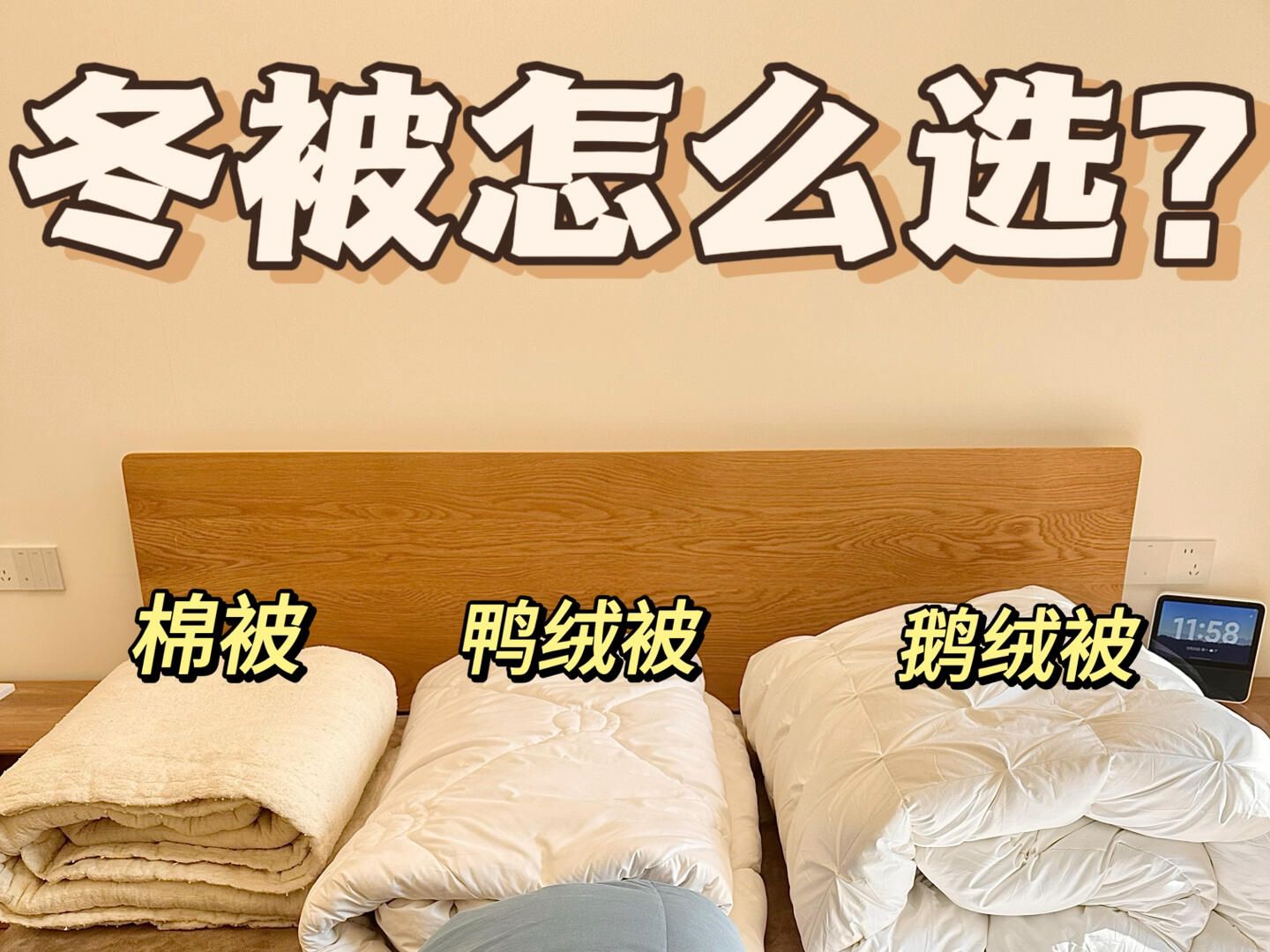 ⛄️冬季被子怎么选❓看完这篇不迷茫✅#测评#懒熊芋泥波波被