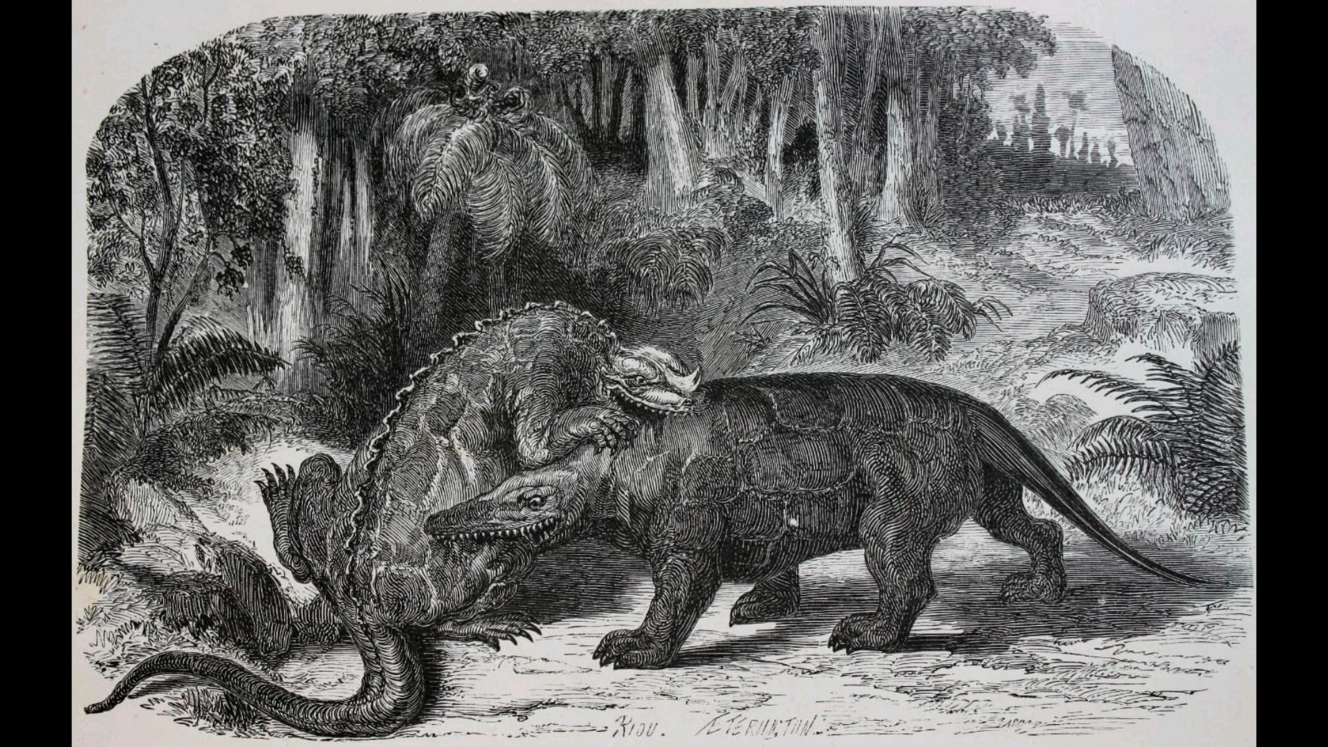 吐血整理!以前的古生物复原图与现在的古生物复原图!古生物爱好者福音!