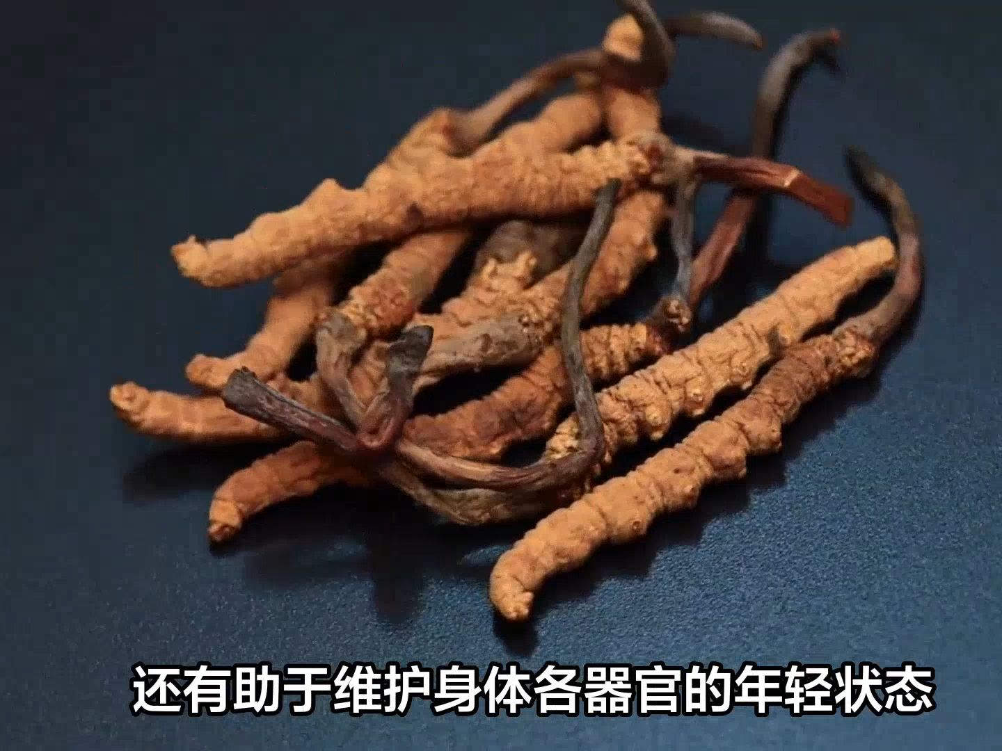 知道了这十大功效,你会对冬虫夏草刮目相看!