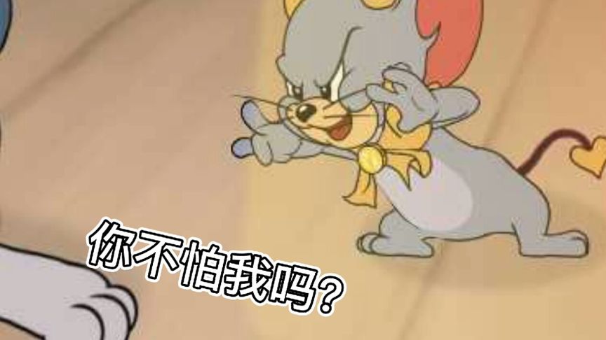 【猫和老鼠不可思议的表情包】 不被笑死来找我要钱