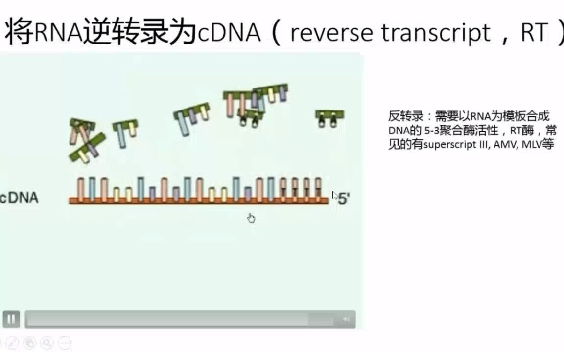 核酸检测方法和基本原理