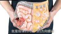 便秘几天不排便,专家:学会这2招,排便通畅小肚子也没了! _0
