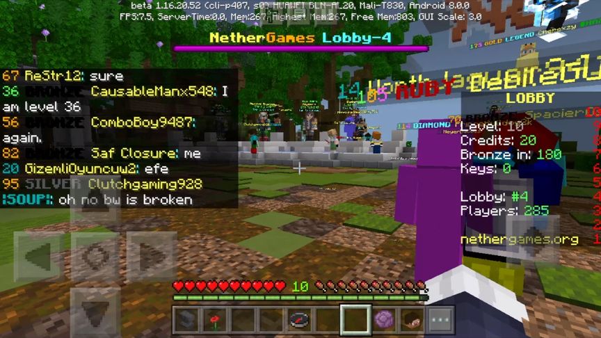 我的世界国际版Nethergame服务器,卡的一批